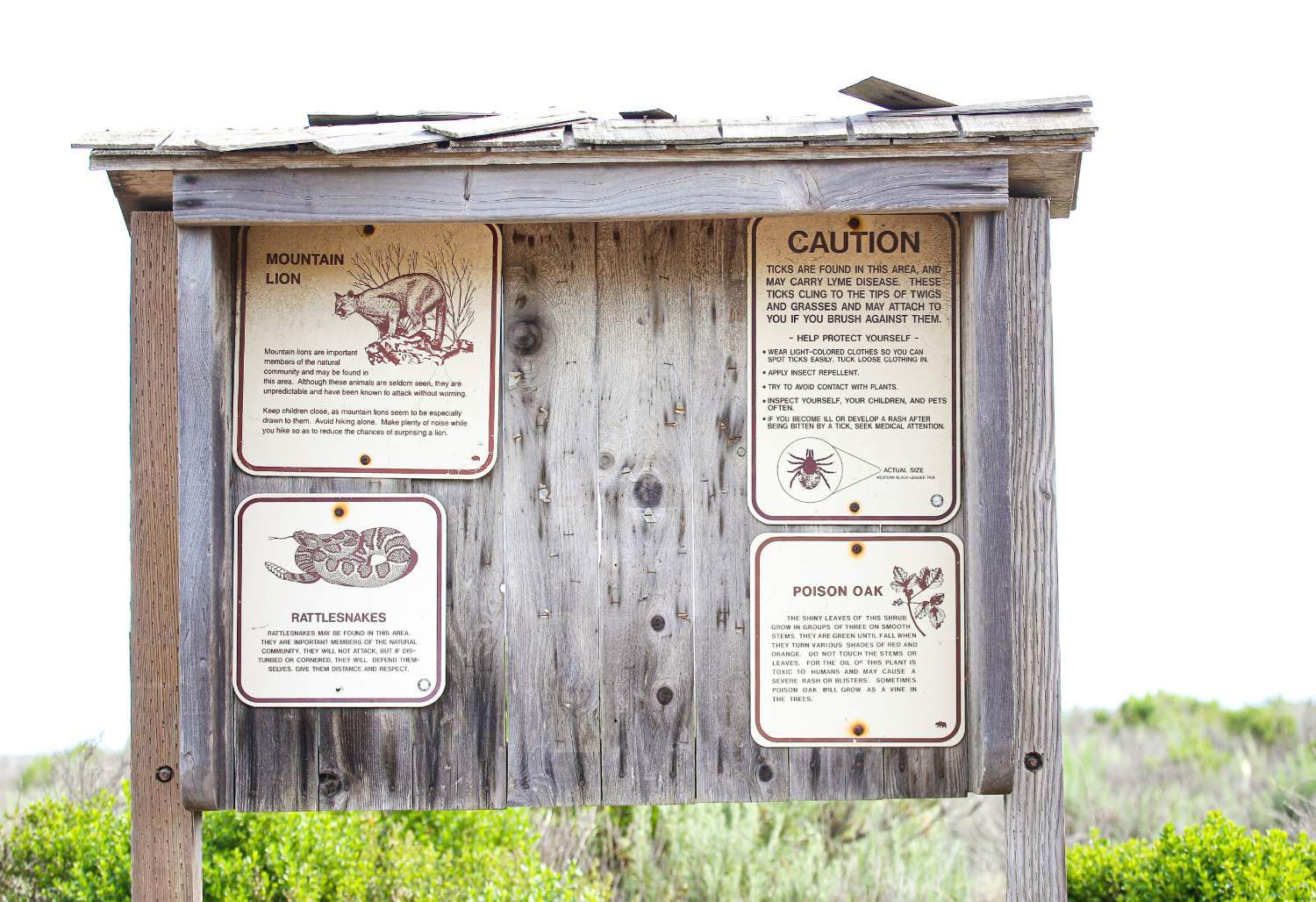 Solve DANGER...STRANGER BEWARE jigsaw puzzle online with 77 pieces