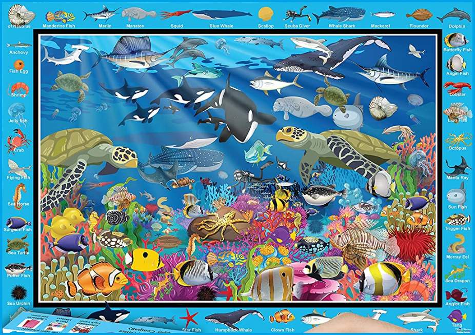 Solve Ocean life jigsaw puzzle online with 48 pieces