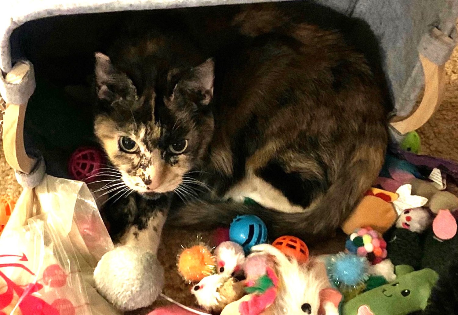 Solve Lexie in her toy box jigsaw puzzle online with 35 pieces