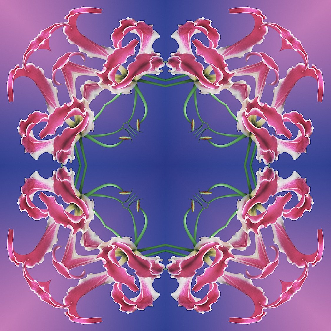 Solve #2 very small jigsaw puzzle online with 25 pieces