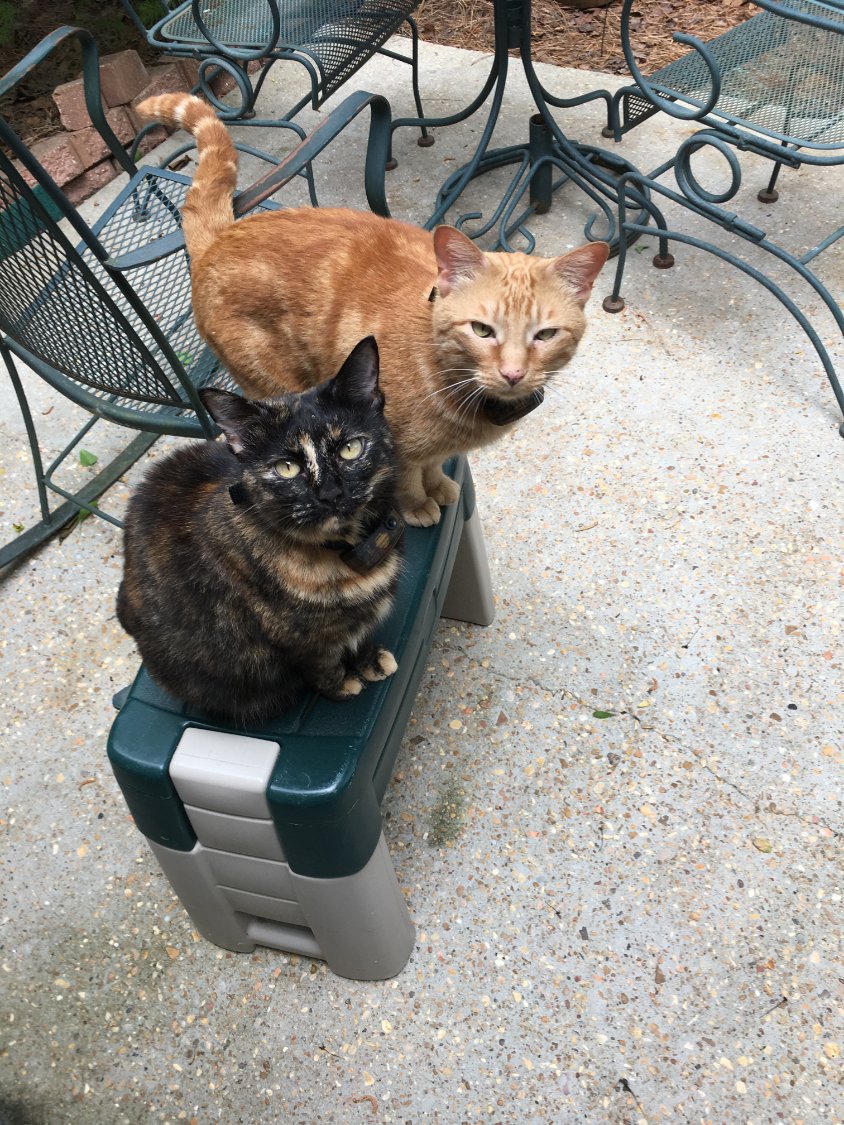 Solve Smile! jigsaw puzzle online with 12 pieces