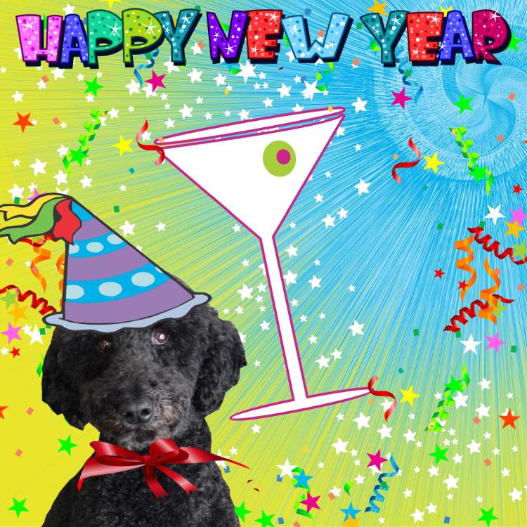 Solve Happy New Year jigsaw puzzle online with 9 pieces