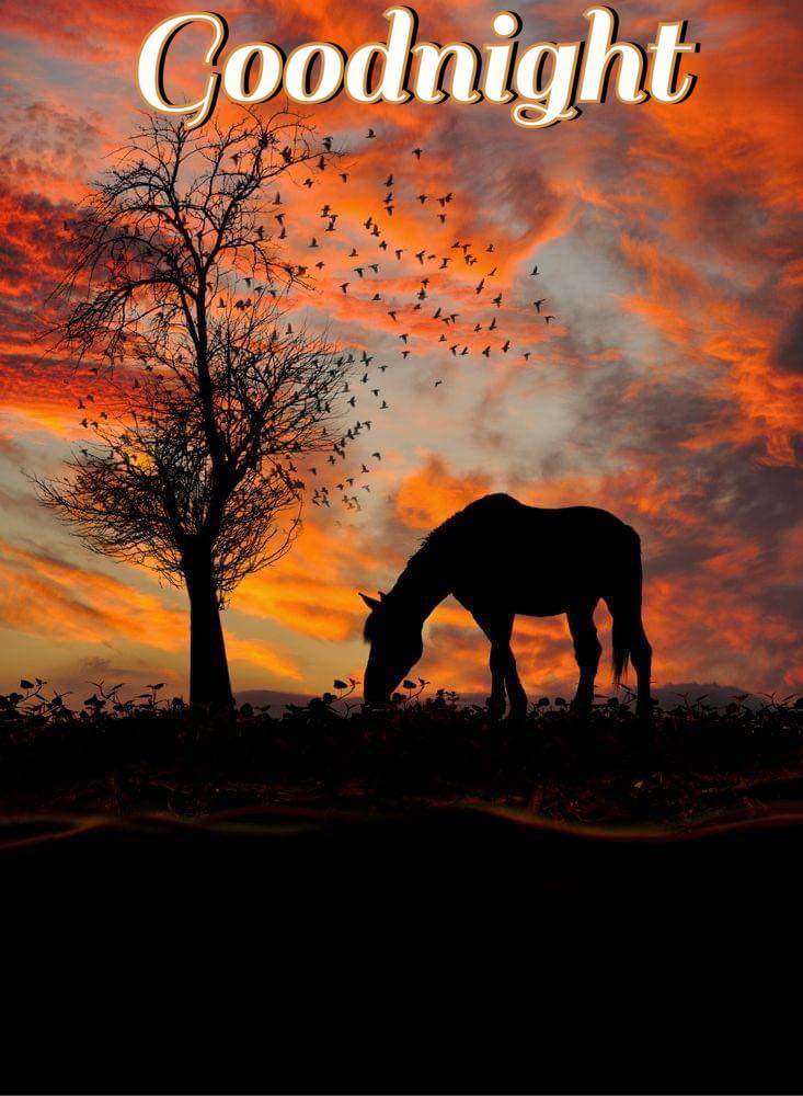 Solve Goodnight Blessings jigsaw puzzle online with 70 pieces