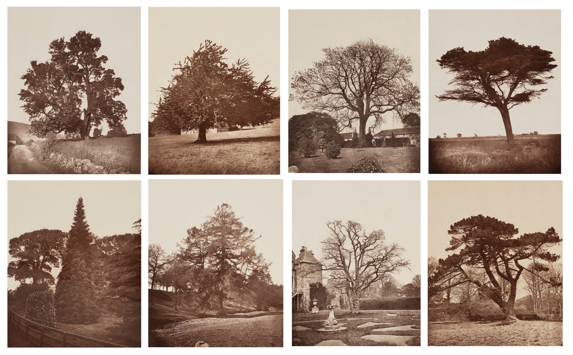 Solve ANDREW YOUNG (1854-1925) & JOHN JEFFREY & CHARLES HOWIE—The Trees ...