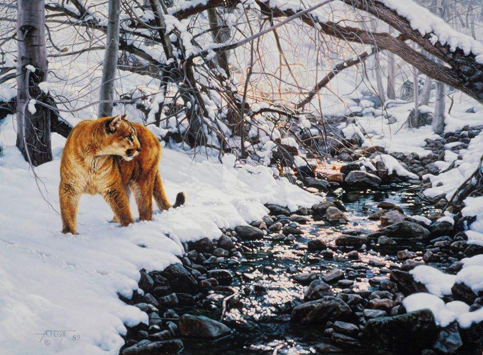 Solve "Mountain Lion" Tim Cox jigsaw puzzle online with 192 pieces