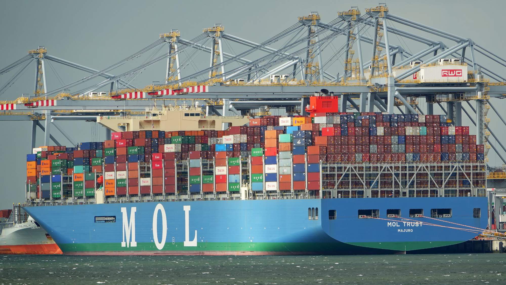 Solve MOL Trust jigsaw puzzle online with 576 pieces