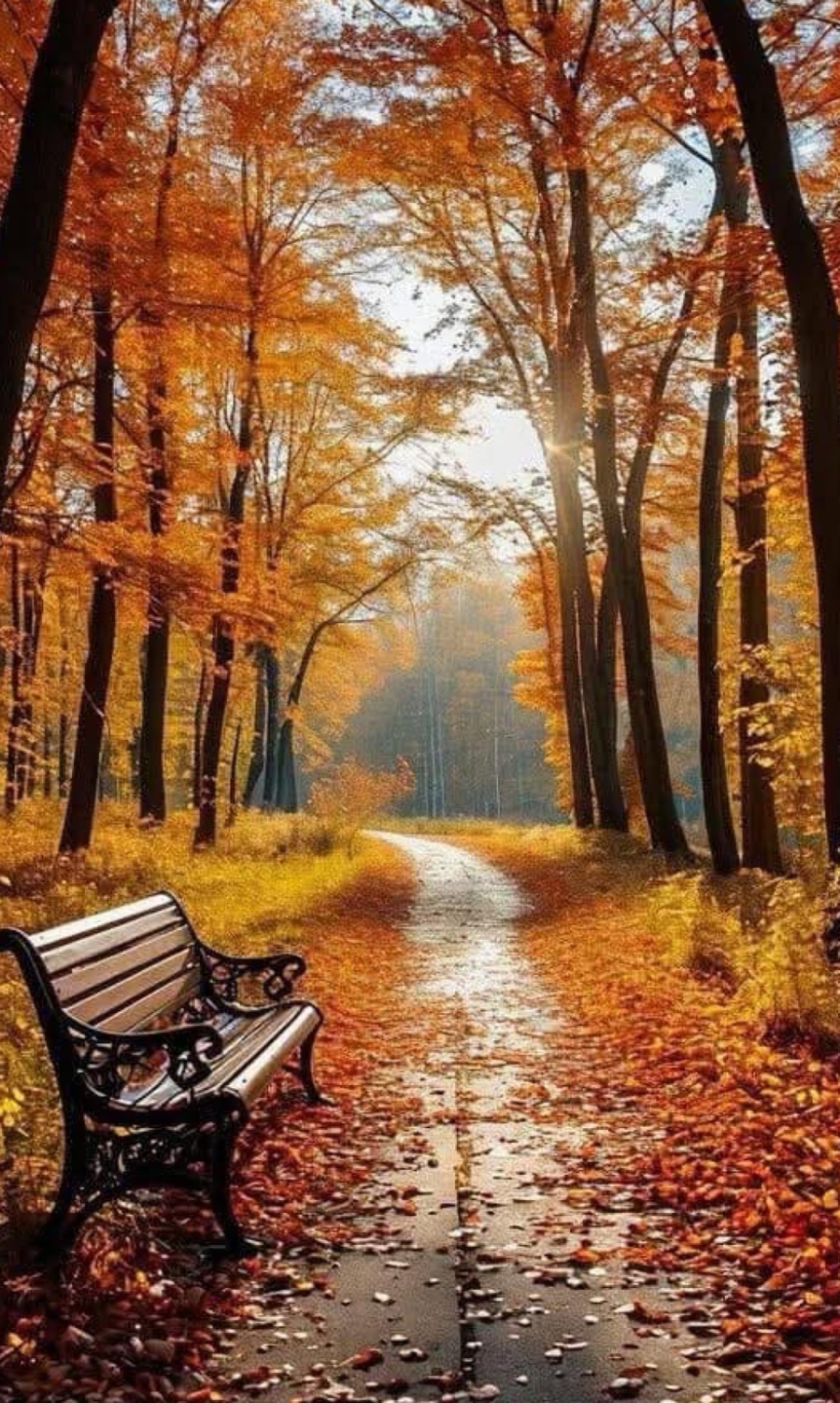 Jigsaw Puzzle | 60 pieces | Walking On A Trail In The Fall | Jigidi