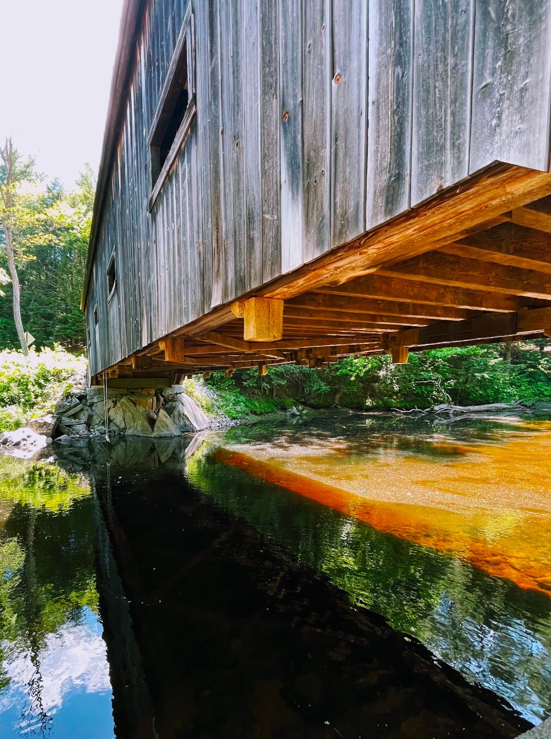 Solve Bridge over hidden fish jigsaw puzzle online with 192 pieces