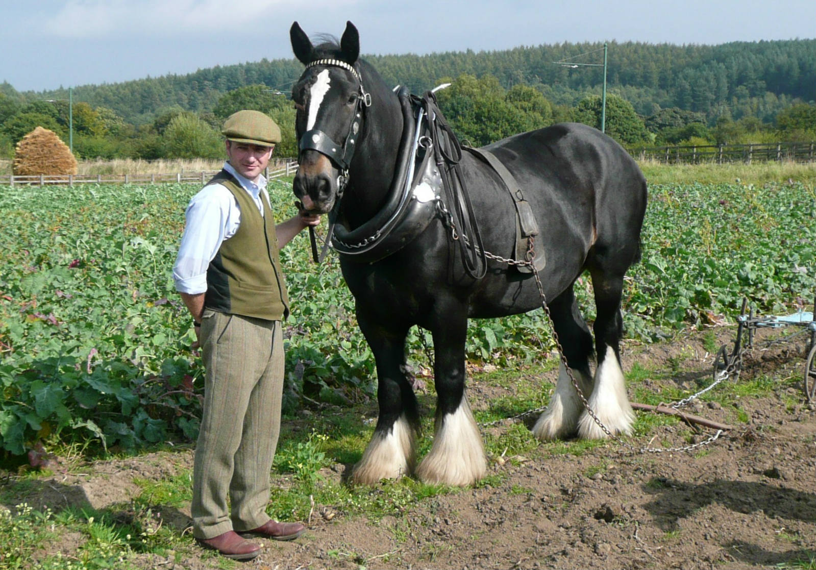 Solve One Man and His Horse jigsaw puzzle online with 315 pieces