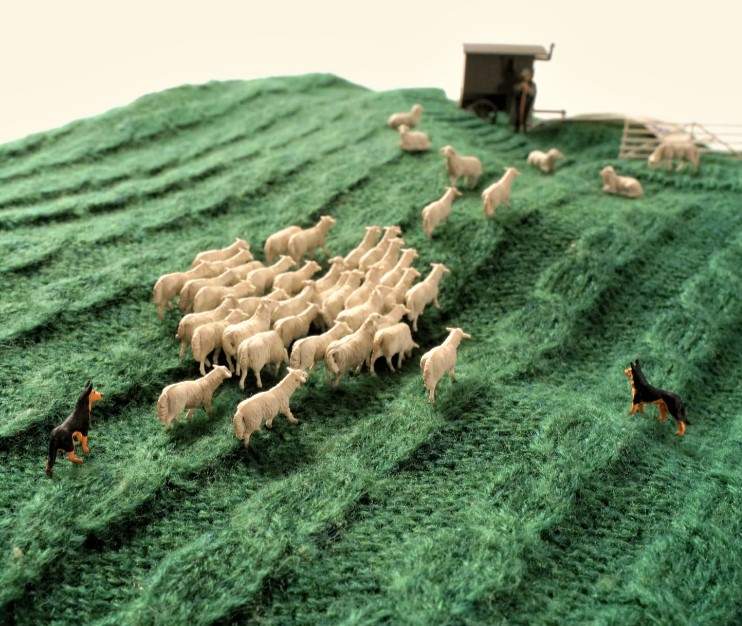 Solve Miniature Sheep Herding jigsaw puzzle online with 56 pieces