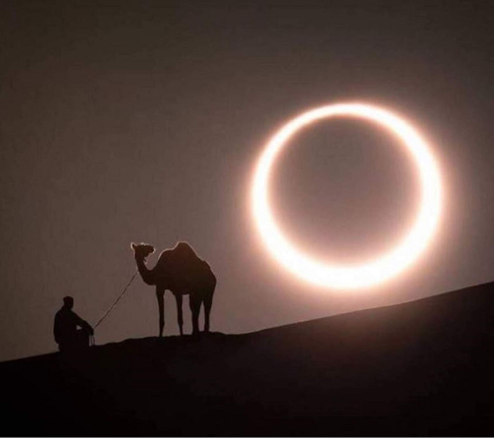 Solve solar eclipse in the UAE jigsaw puzzle online with 399 pieces