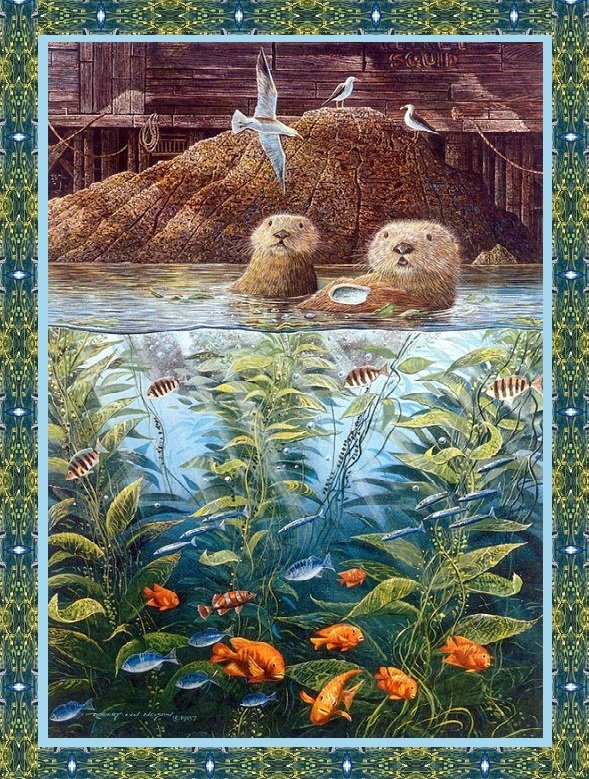 Solve Otter View jigsaw puzzle online with 108 pieces