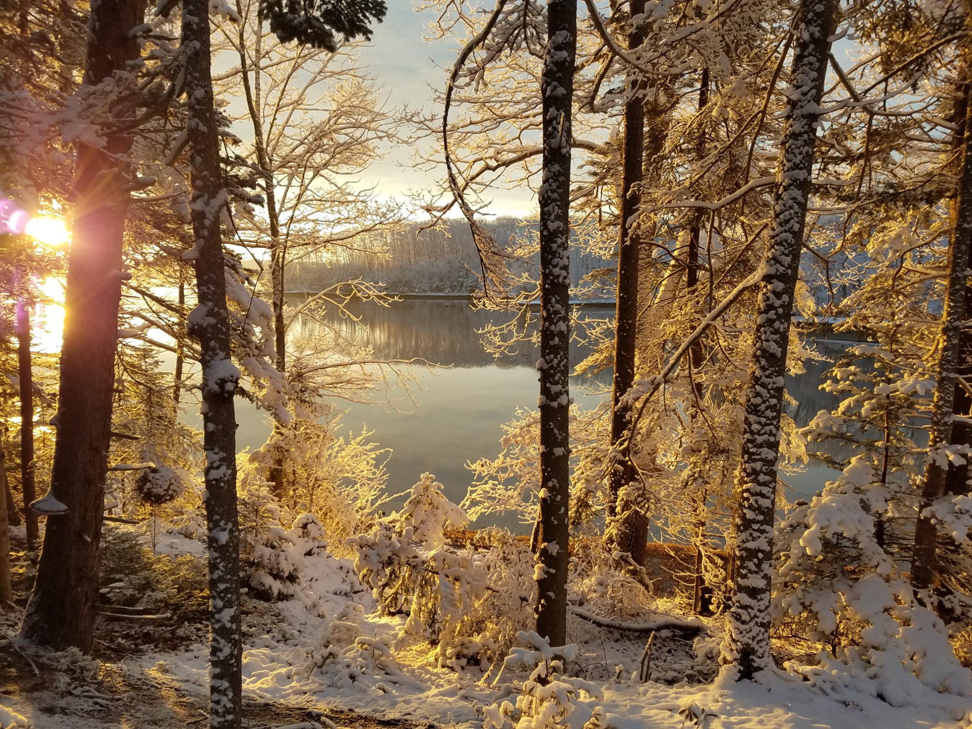 Solve Powdered Sugar Sunrise jigsaw puzzle online with 204 pieces