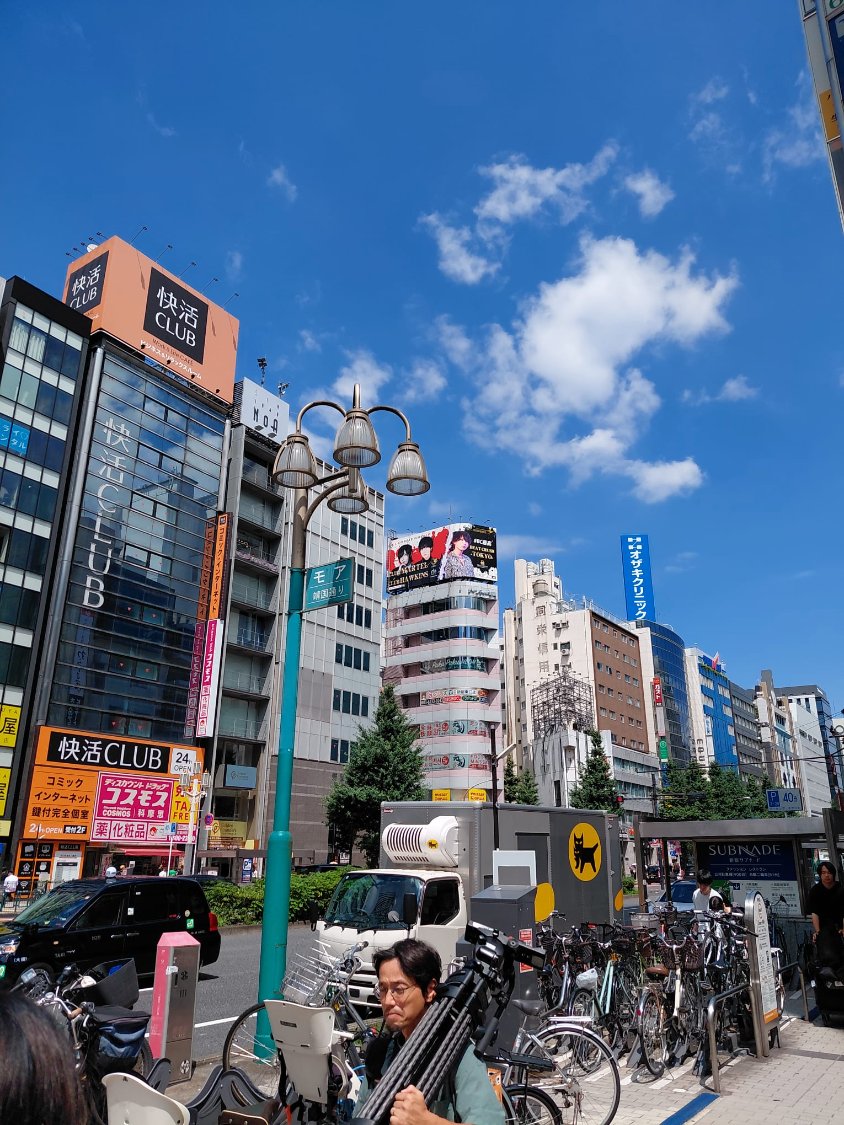 Solve Japonsko, Tokyo jigsaw puzzle online with 12 pieces