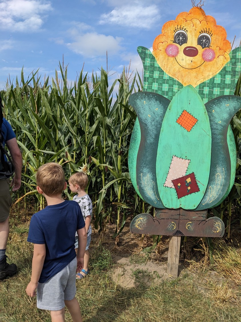 Solve The corn maze jigsaw puzzle online with 20 pieces