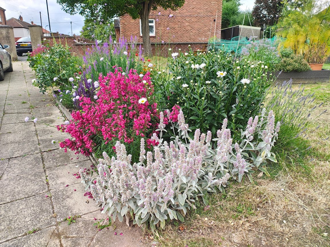 Jigsaw Puzzle | 266 pieces | It was just boring grass. At the local ...