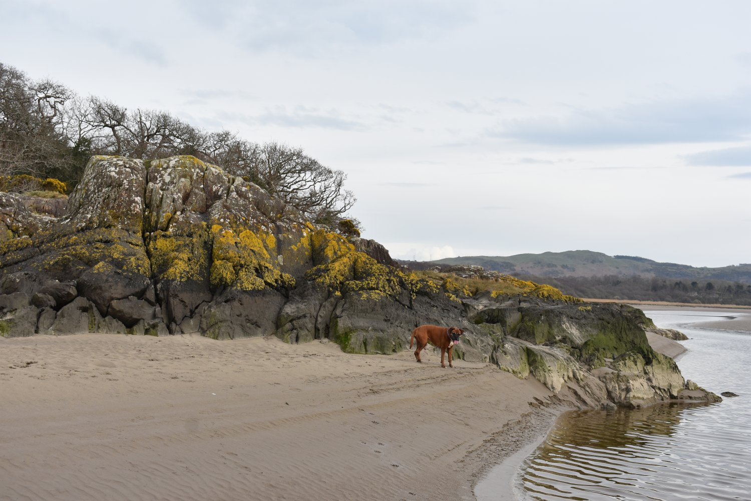 Solve Who left these rocks here? now I will have to clamber over or ...