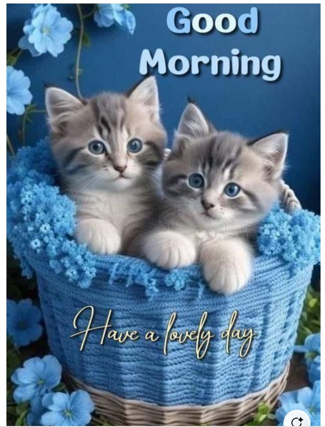 Solve Good Mornin', GOOD MORNIN'!!! jigsaw puzzle online with 20 pieces