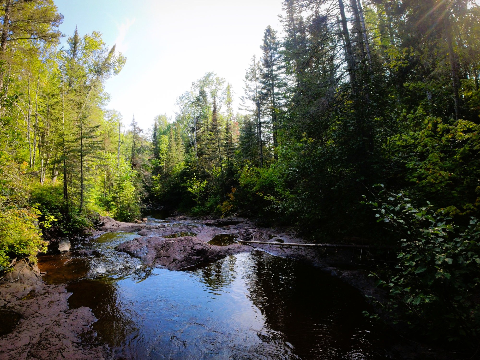 Solve Bathing Pond jigsaw puzzle online with 99 pieces