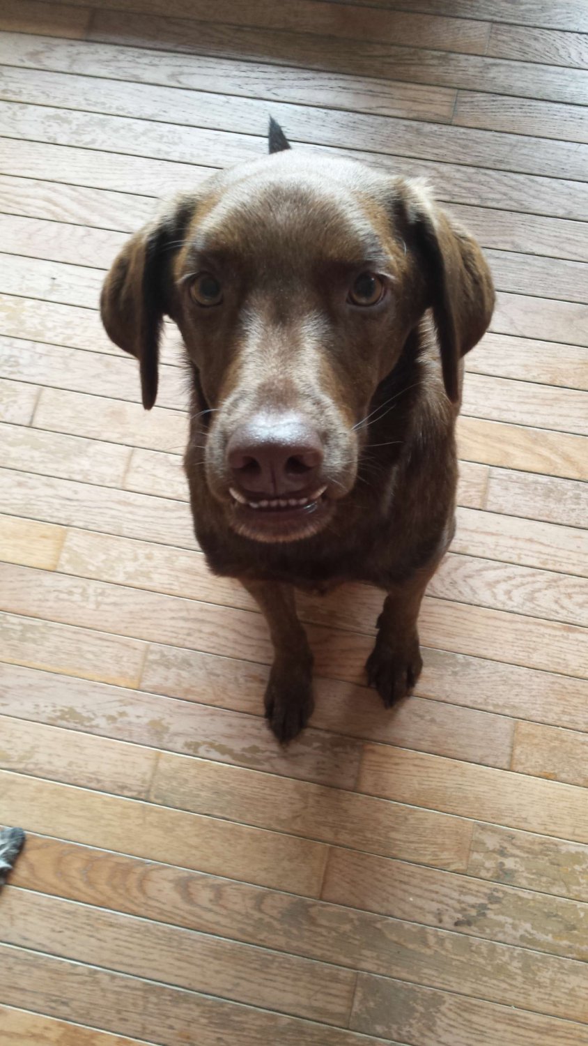 Solve Kona jigsaw puzzle online with 84 pieces