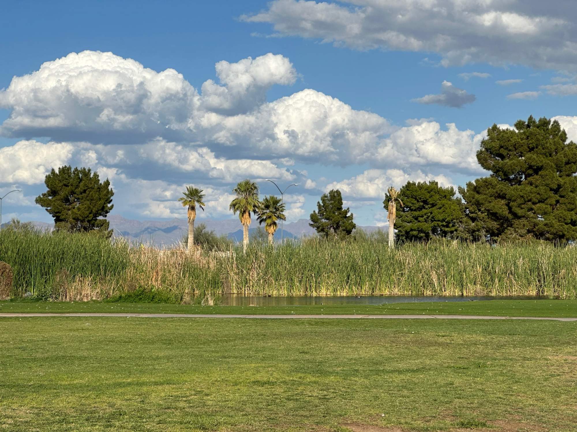 Jigsaw Puzzle | Toka Sticks | 500 pieces | Jigidi