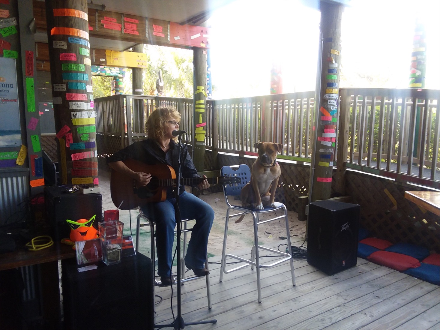 Solve Tacky Jacks Patio jigsaw puzzle online with 165 pieces