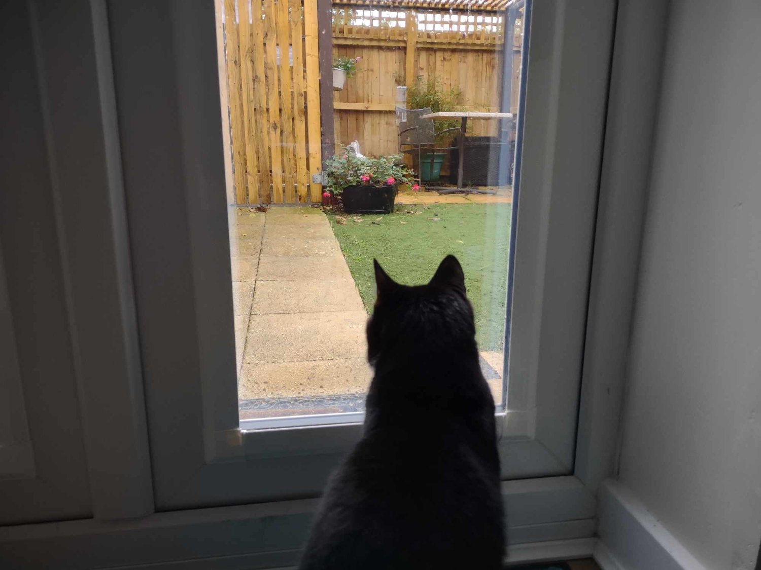 Solve Roxie 384 - (Storyboard 21) 4 of 4 - Now to work out how to get ...