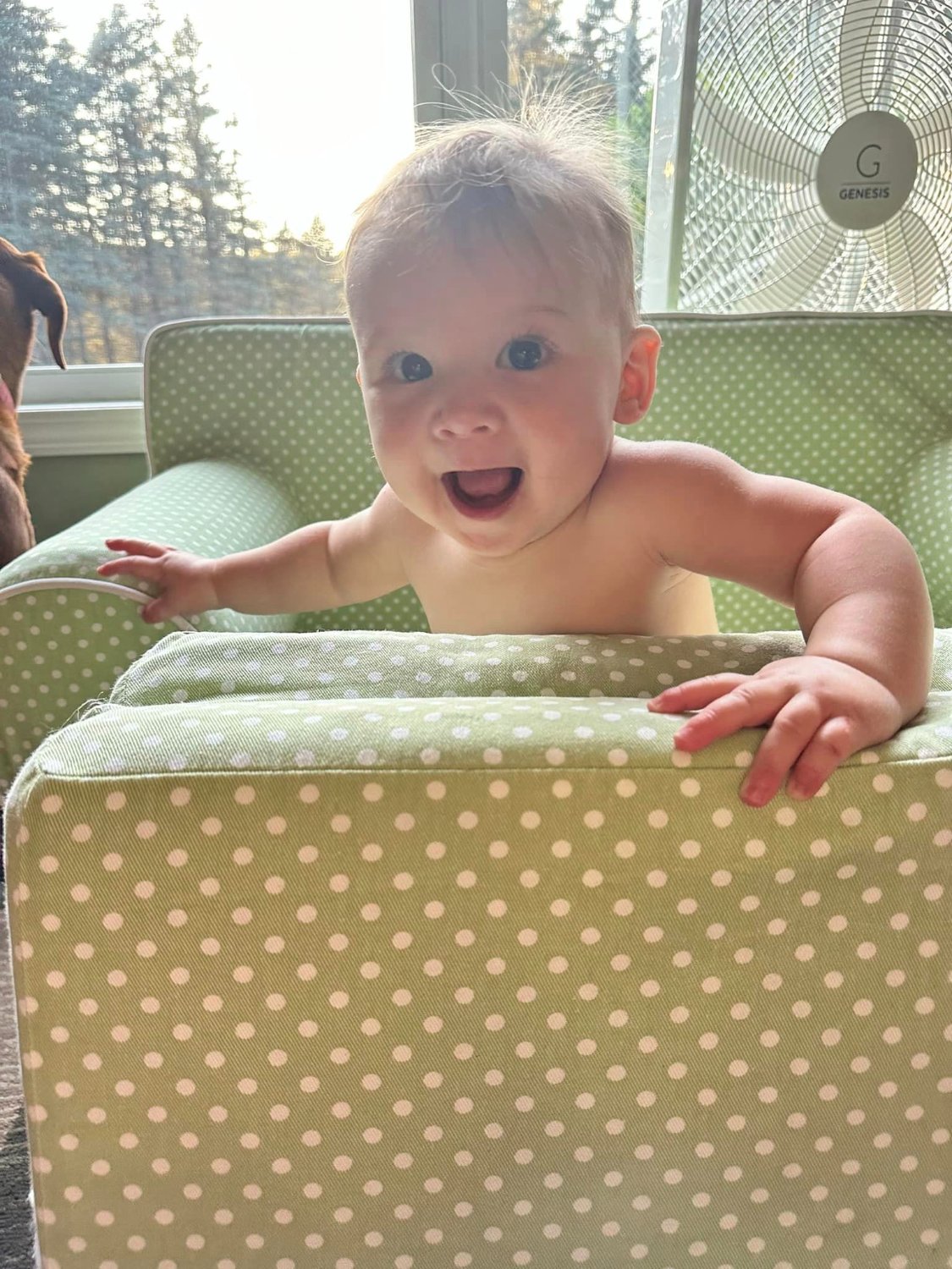 Solve Happy! jigsaw puzzle online with 130 pieces