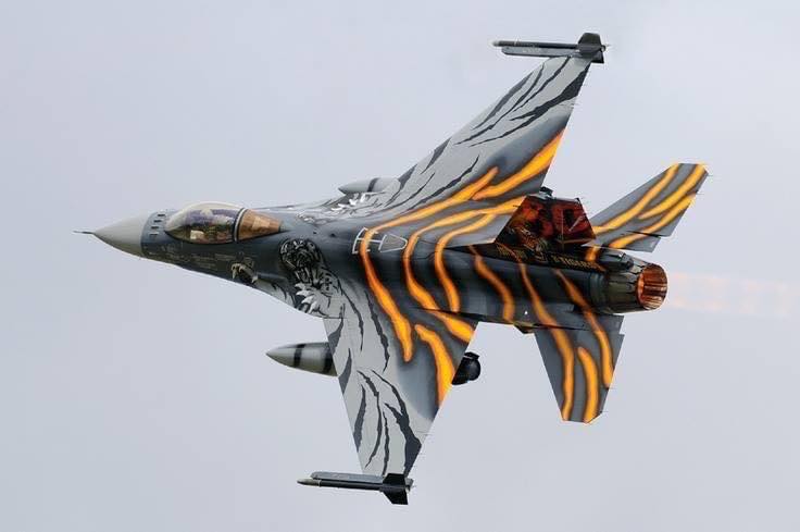 Solve NATO F-16 in Tiger livery. jigsaw puzzle online with 40 pieces
