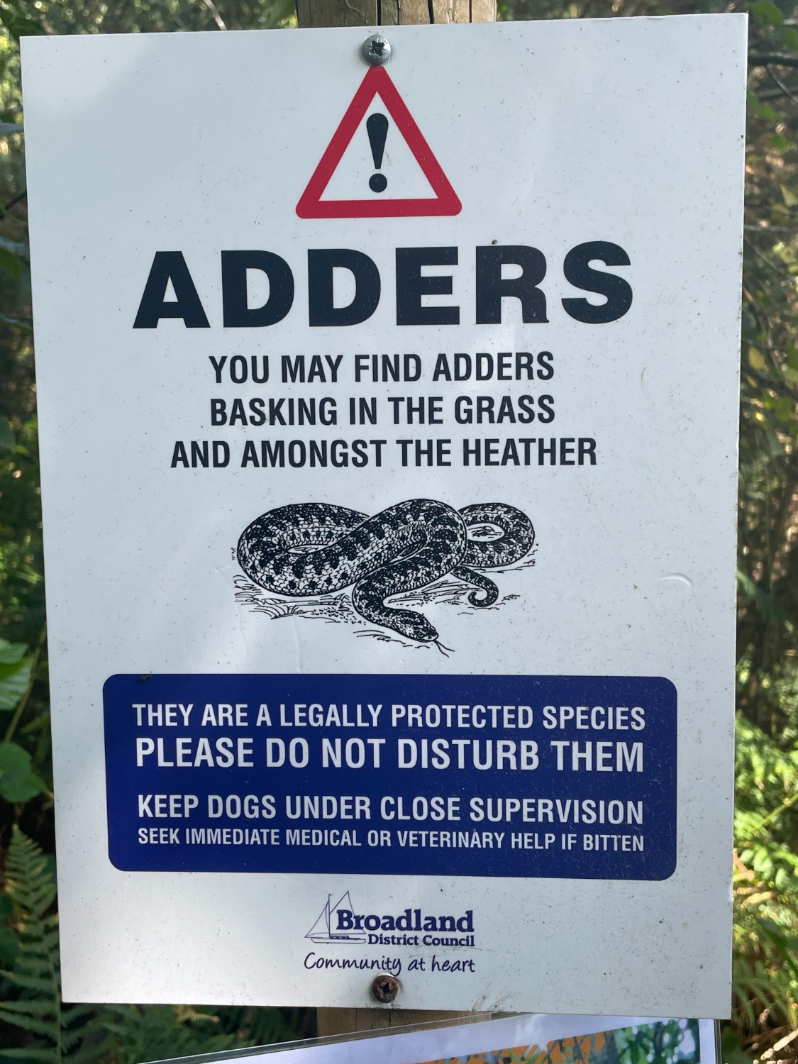 Solve Adders Information (Small) jigsaw puzzle online with 88 pieces