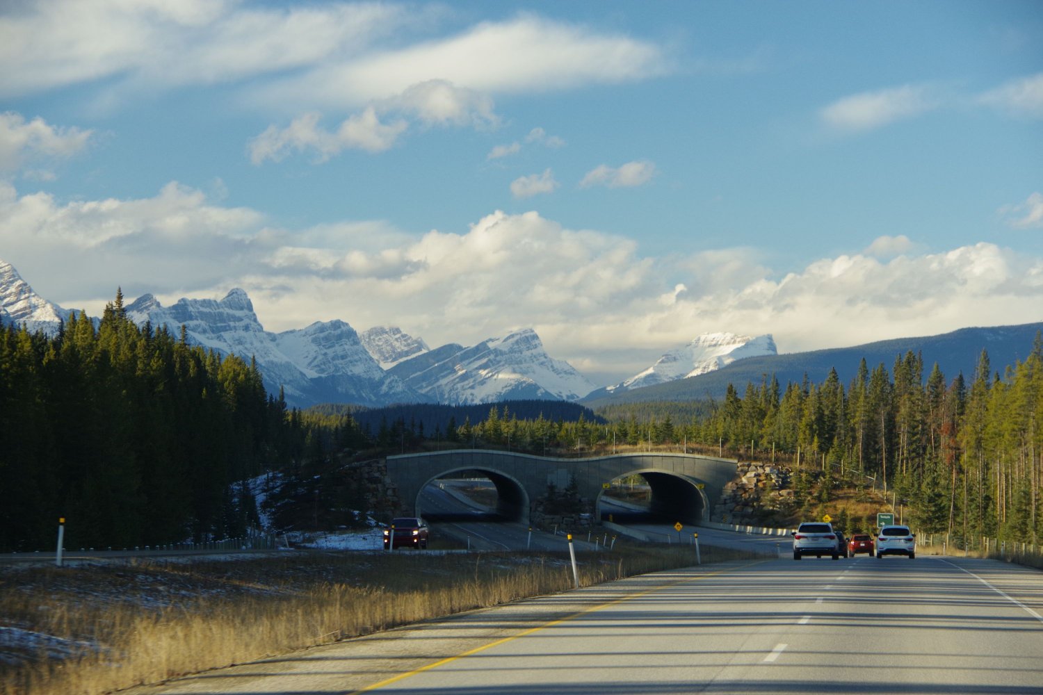 Solve Banff Park Wildlife Overpass jigsaw puzzle online with 12 pieces