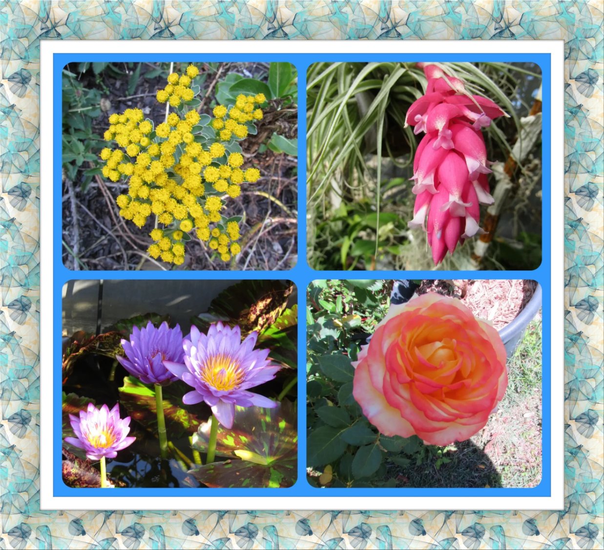 Jigsaw Puzzle | 16 pieces | Tuesday Puzzle, My Flowers. Smaller. | Jigidi