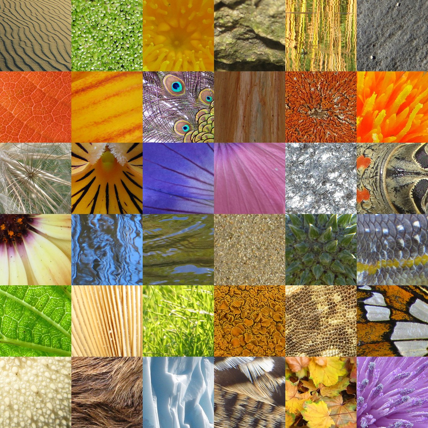 Solve Nature patterns jigsaw puzzle online with 256 pieces