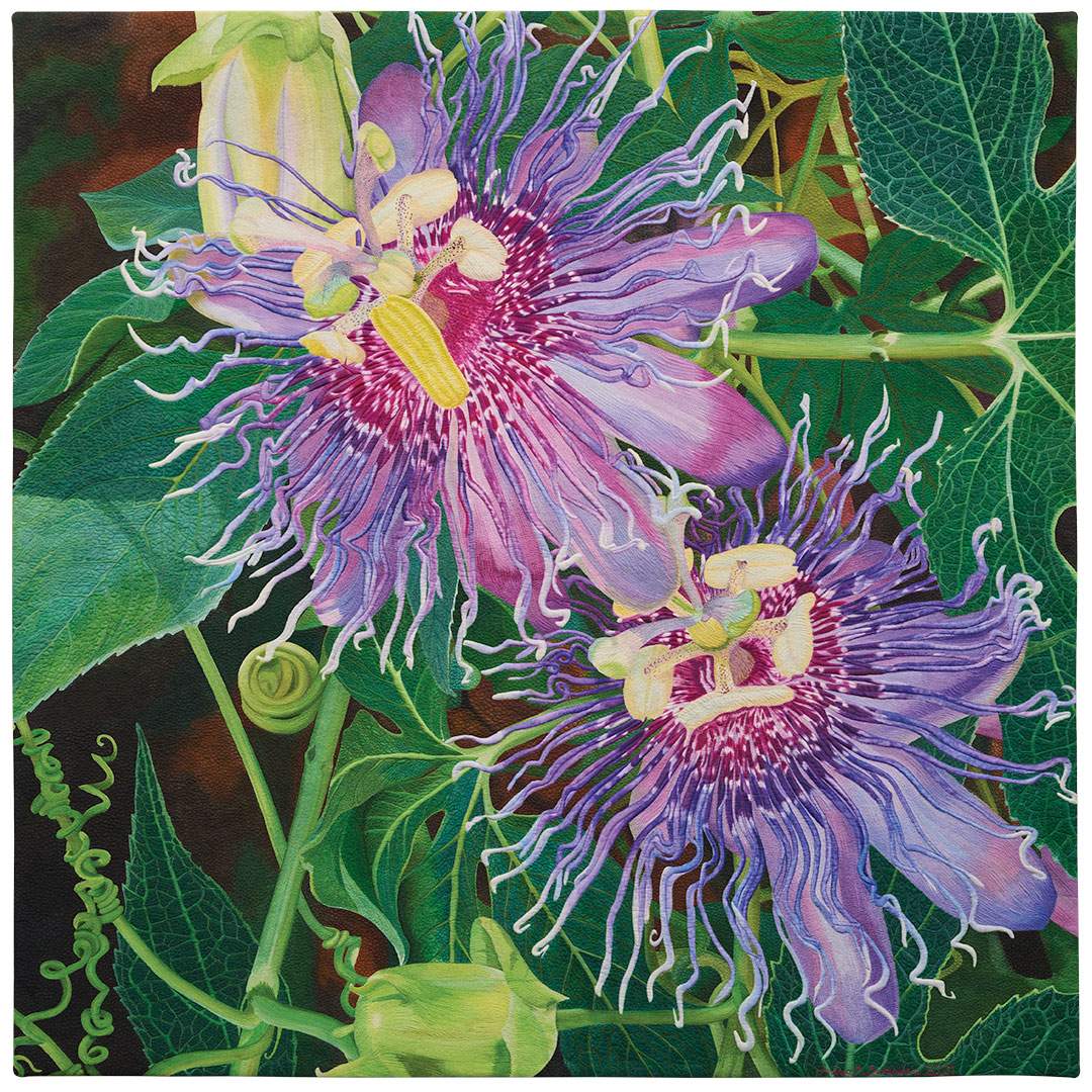 Solve Passion Flower jigsaw puzzle online with 144 pieces