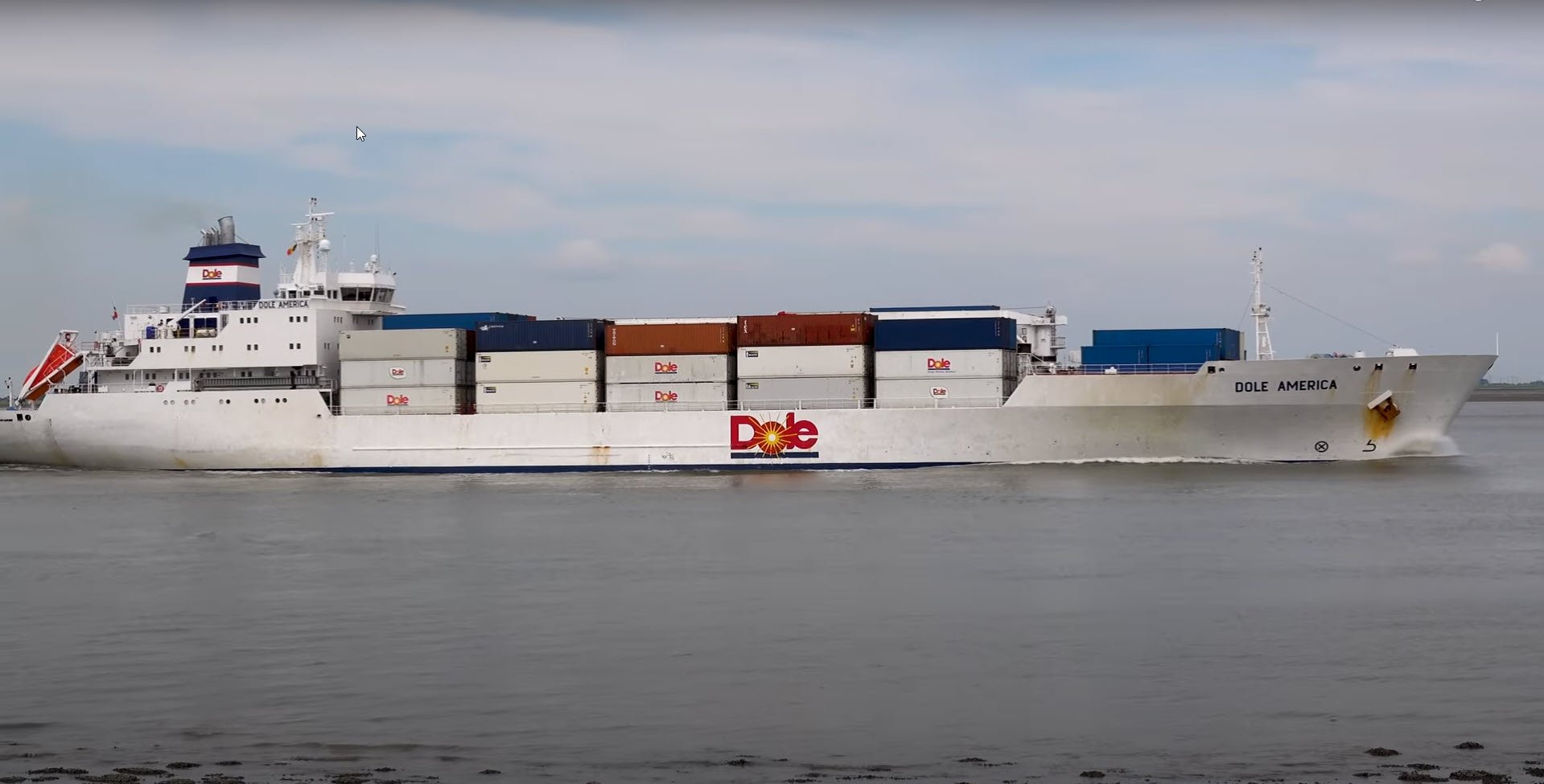 Solve Dole America Rotterdam jigsaw puzzle online with 66 pieces