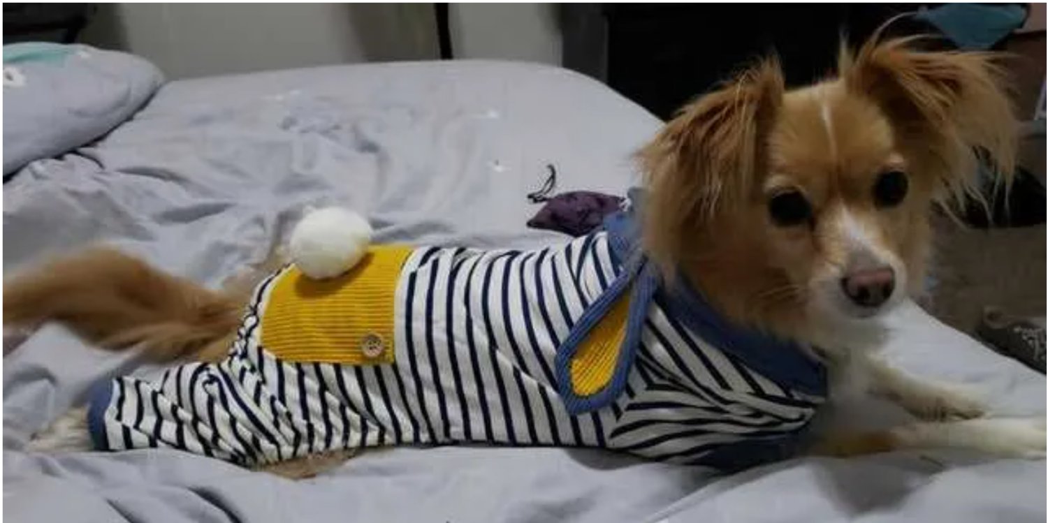 Solve Good Night; Sleep Tight! jigsaw puzzle online with 18 pieces