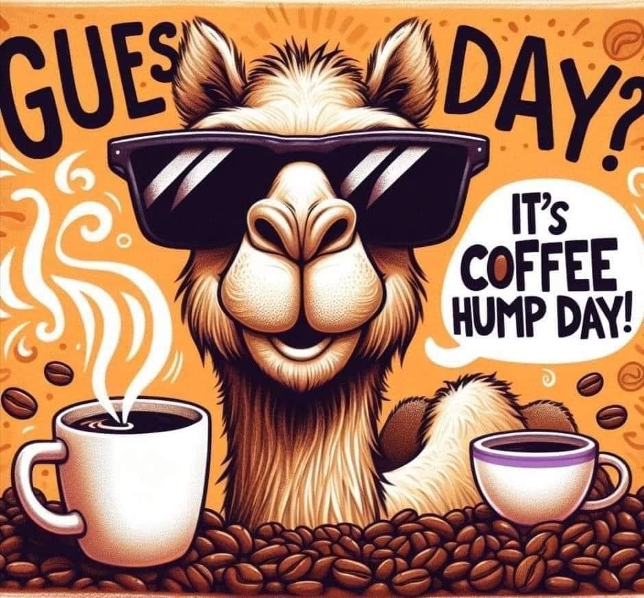 Solve its the hump day jigsaw puzzle online with 25 pieces