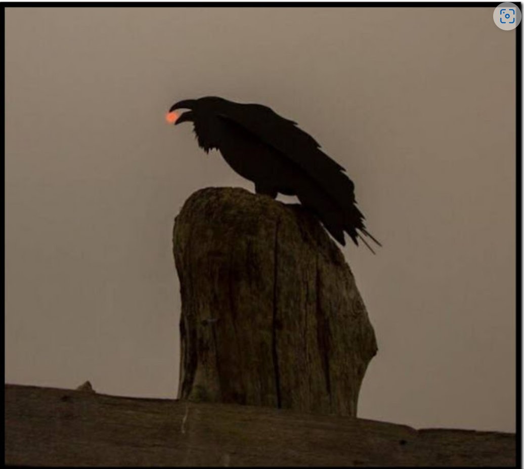 Solve Playing with the Moon -- Perfect Timing. jigsaw puzzle online with 16 pieces