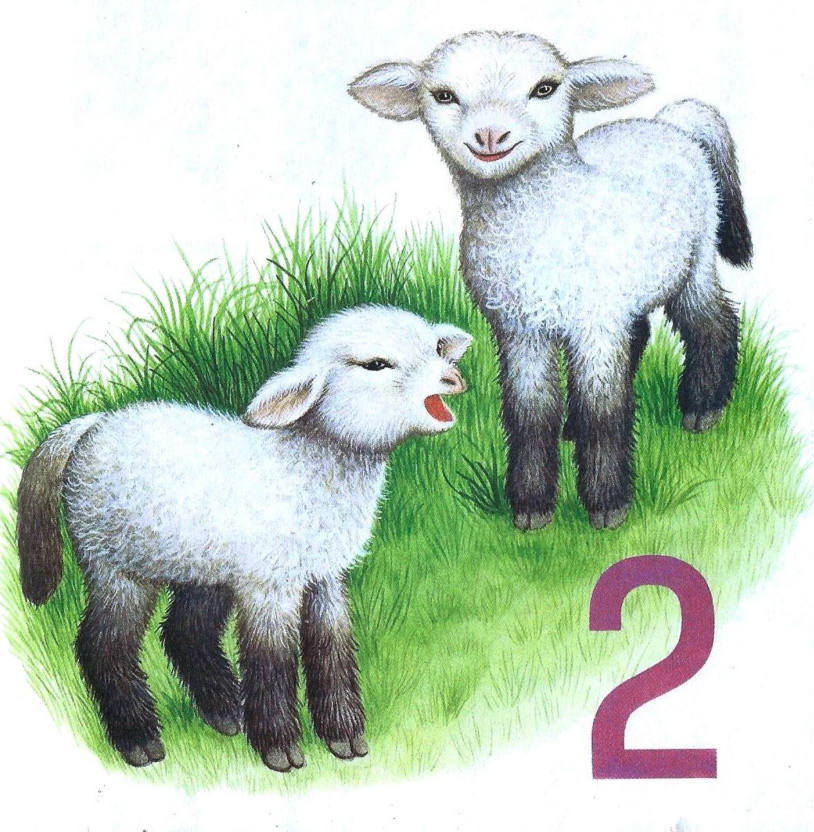 Solve Numbers 2 Little Golden Book Lambs jigsaw puzzle online with 25 ...