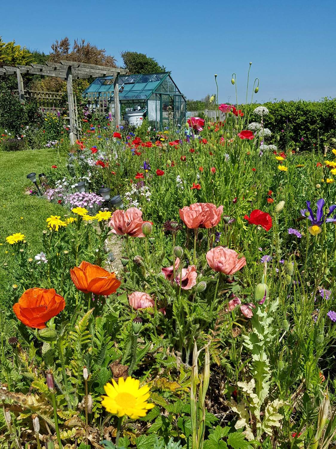 Solve Summer Garden jigsaw puzzle online with 140 pieces