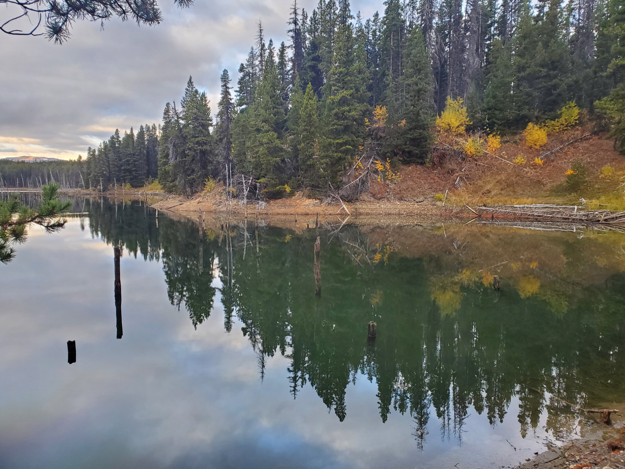 Solve Ootsa Lake, B.C. jigsaw puzzle online with 594 pieces