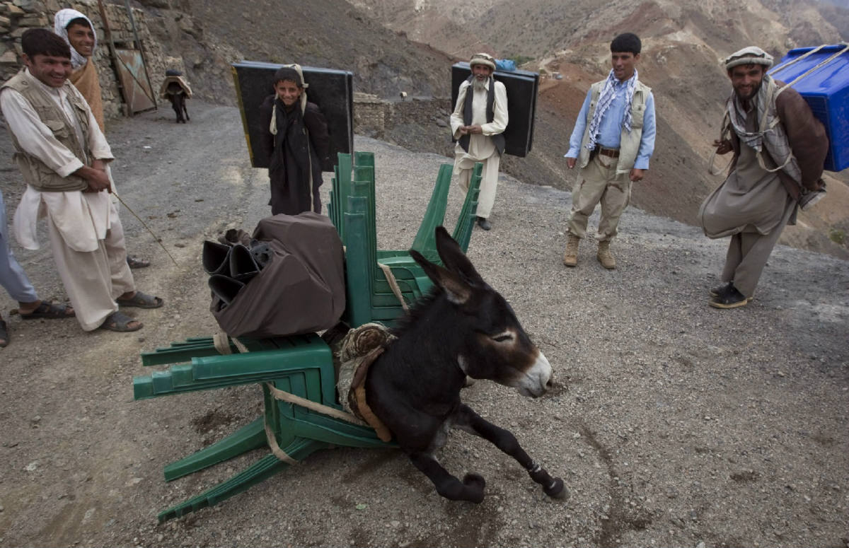 Solve A donkey carrying election materials in Afghanistan collapsed ...
