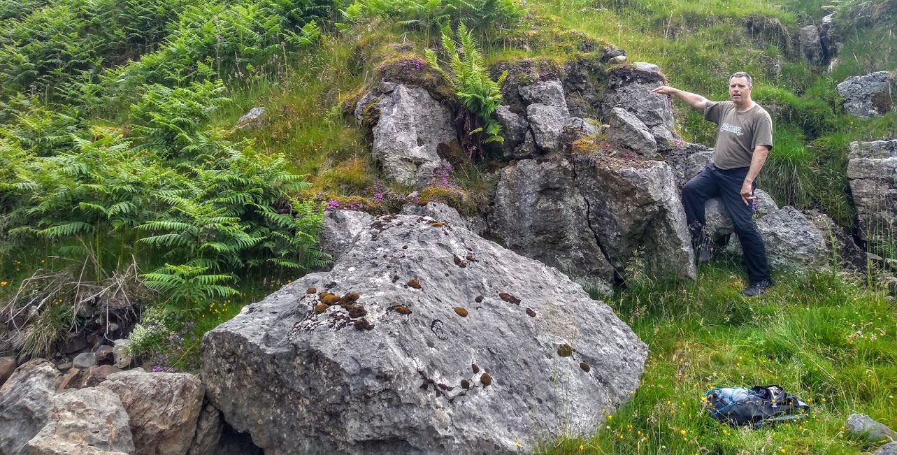 Solve Crystal Beck jigsaw puzzle online with 231 pieces