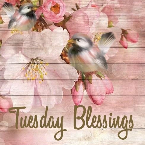 Solve Good Morning - Tuesday Blessings! jigsaw puzzle online with 64 pieces