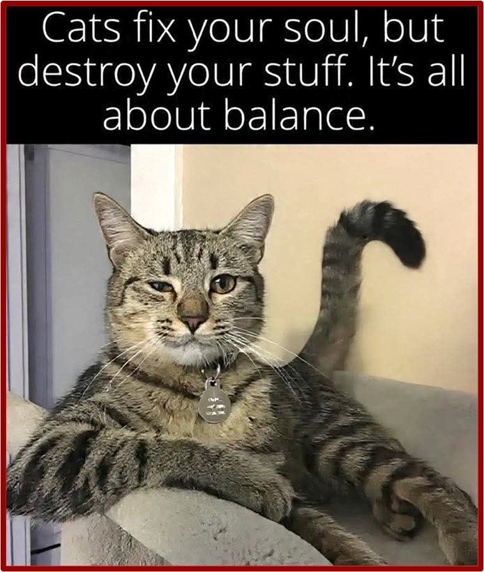 Solve Remember. It's Only Stuff! Hug Your Kitty! jigsaw puzzle online ...