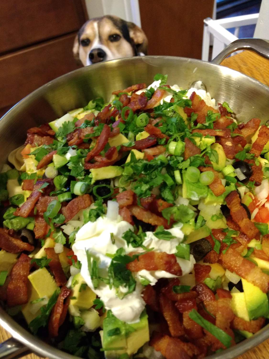 Solve Tortellini nachos and an interested dog jigsaw puzzle online with ...