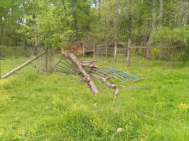 Solve Heidi's broken fence and gate from a tree falling on it jigsaw ...