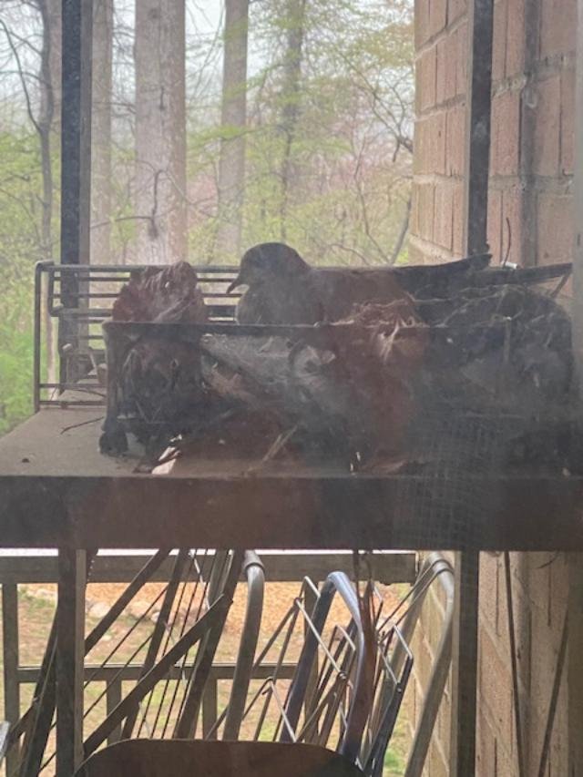 Solve Waiting jigsaw puzzle online with 20 pieces