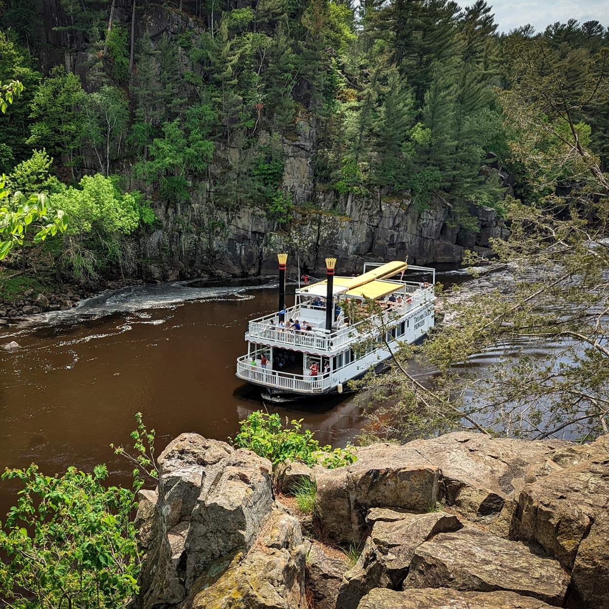 Solve Paddlewheel Riverboat jigsaw puzzle online with 100 pieces