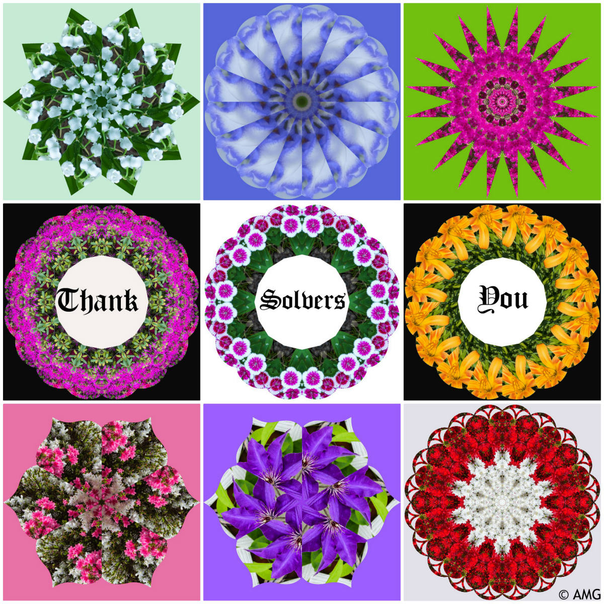 Solve Thank You, Solvers jigsaw puzzle online with 144 pieces